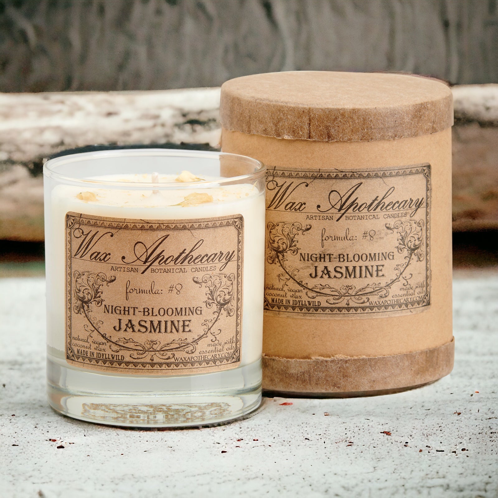 Night-Blooming Jasmine 7 oz Botanical Candle in Scotch Glass – Wax ...