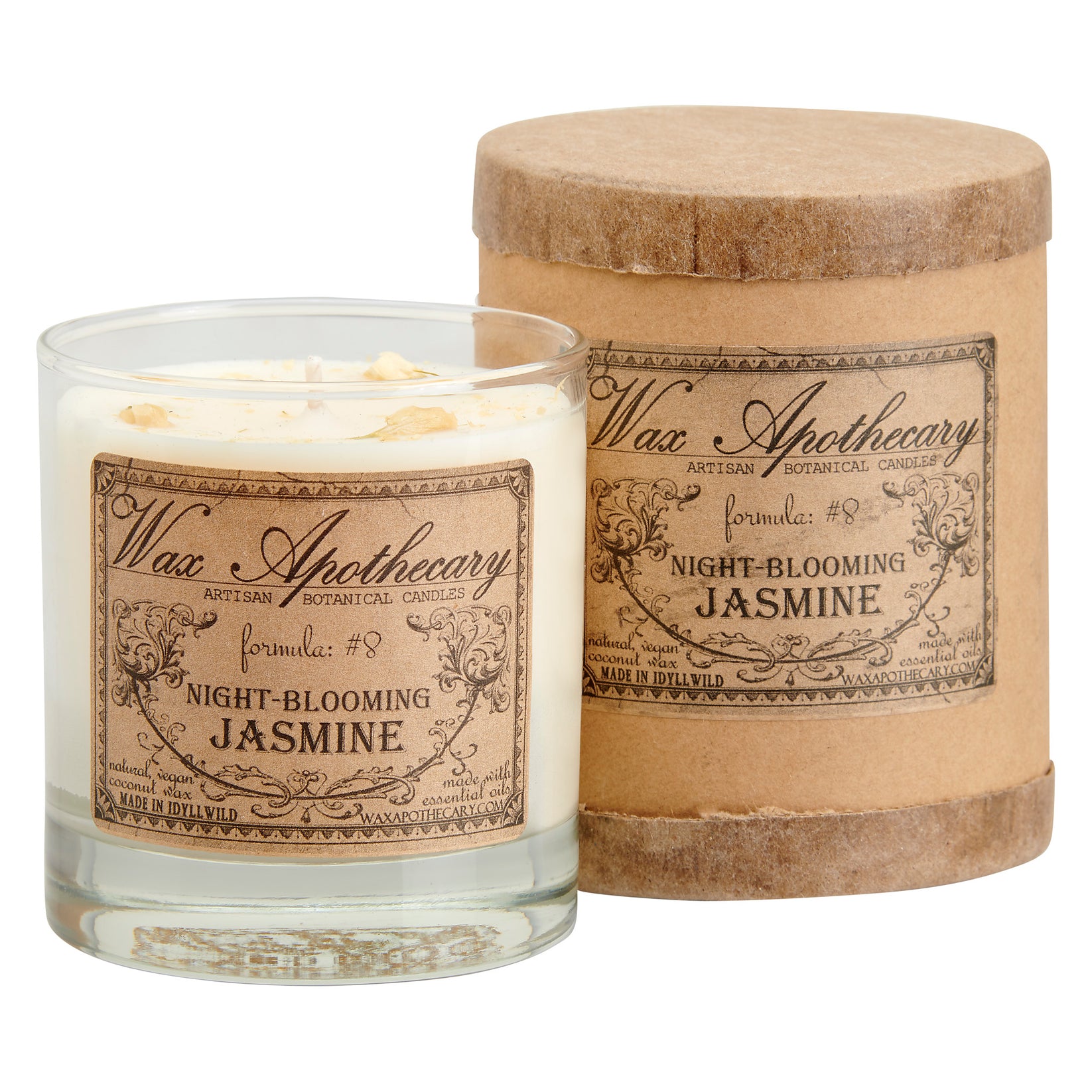 Night-Blooming Jasmine 7 oz Botanical Candle in Scotch Glass – Wax ...