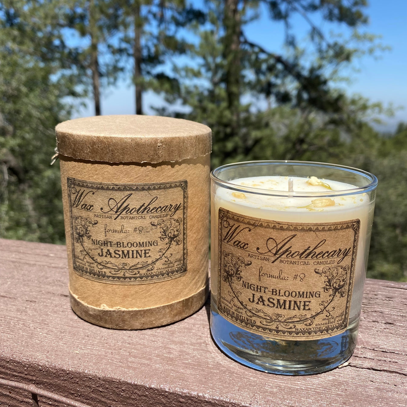 Night-Blooming Jasmine 7 oz Botanical Candle in Scotch Glass – Wax ...