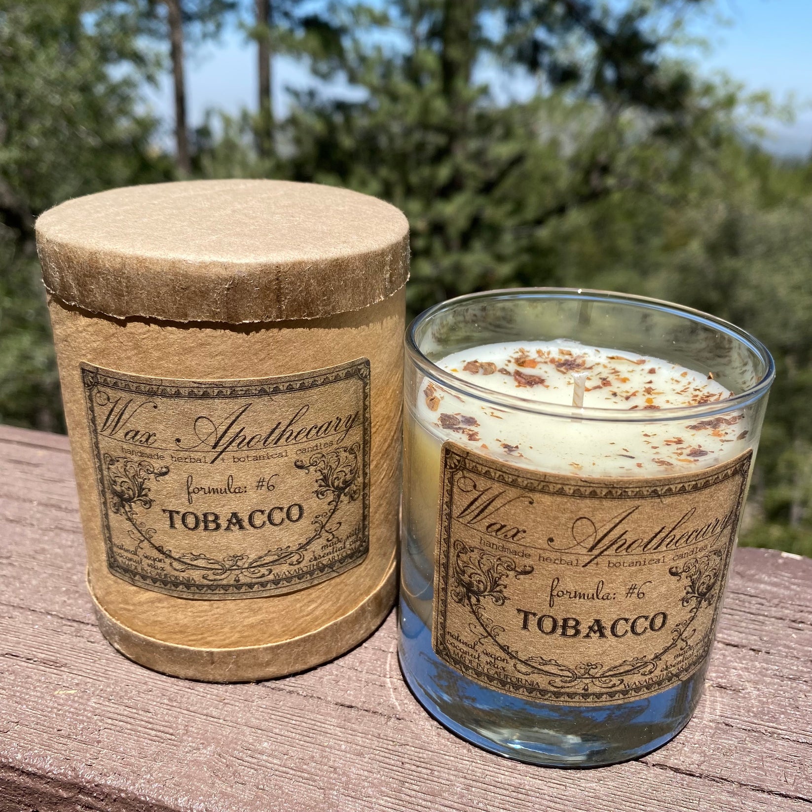 Tobacco 7 oz Botanical Candle in Scotch Glass – Wax Apothecary